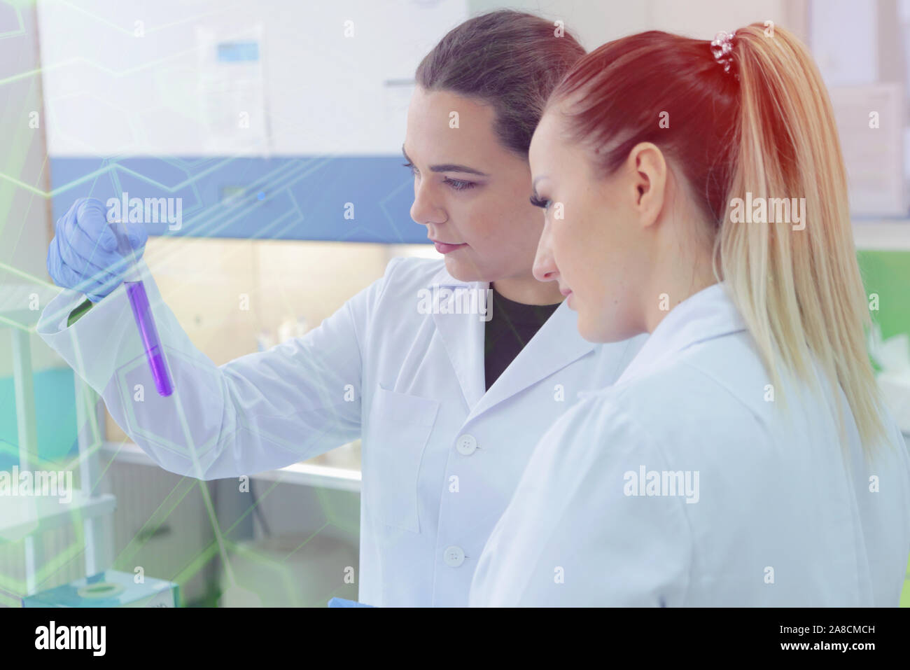 Two young female Laboratory scientists working at lab with test tubes ...