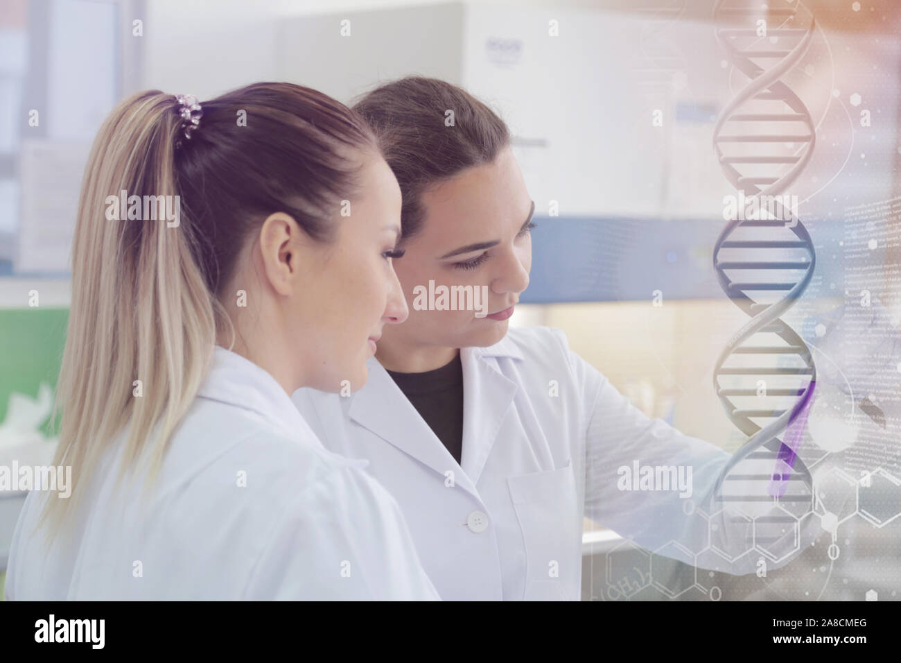 Two young female Laboratory scientists working at lab with test tubes ...