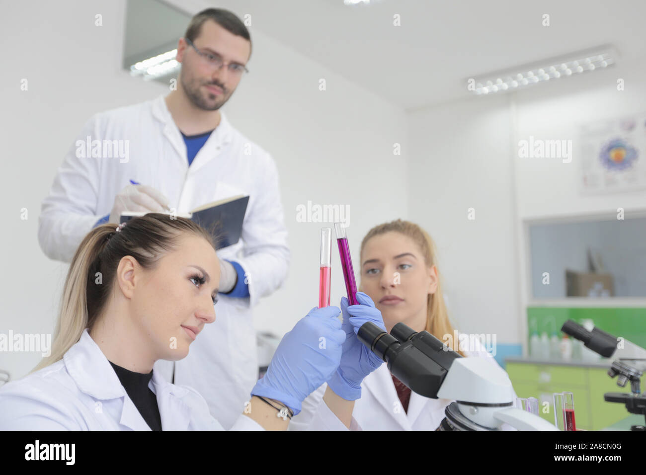 Group of young Laboratory scientists working at lab with test tubes and ...