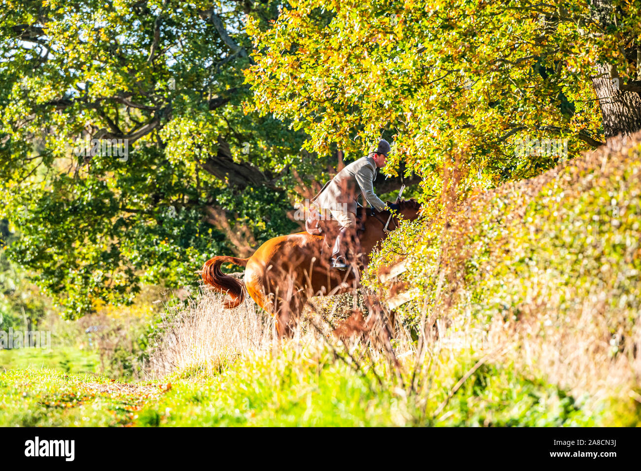 The Kelso Hunt In Scottish Borders High Resolution Stock Photography ...