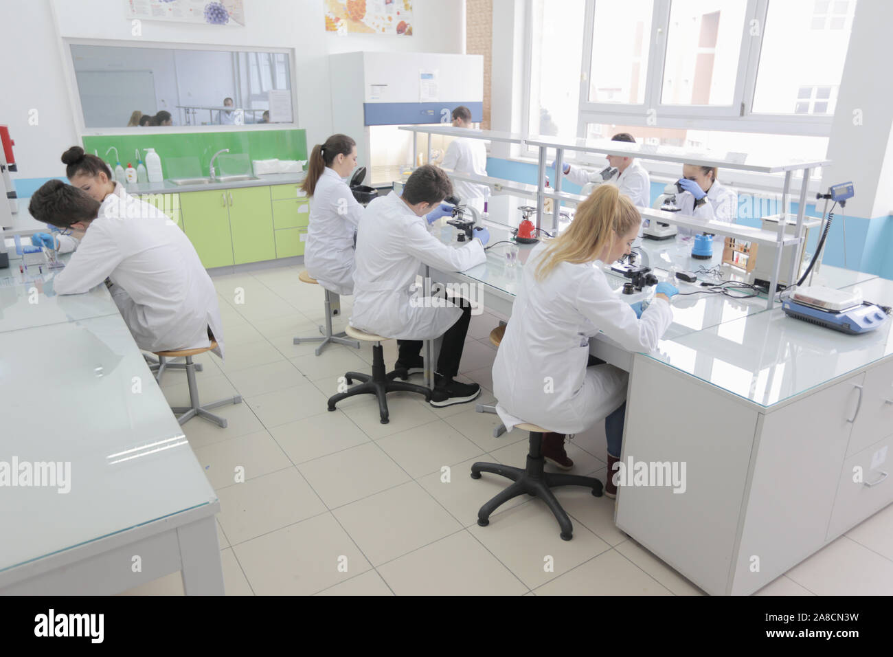 Group of young Laboratory scientists working at lab with test tubes and ...