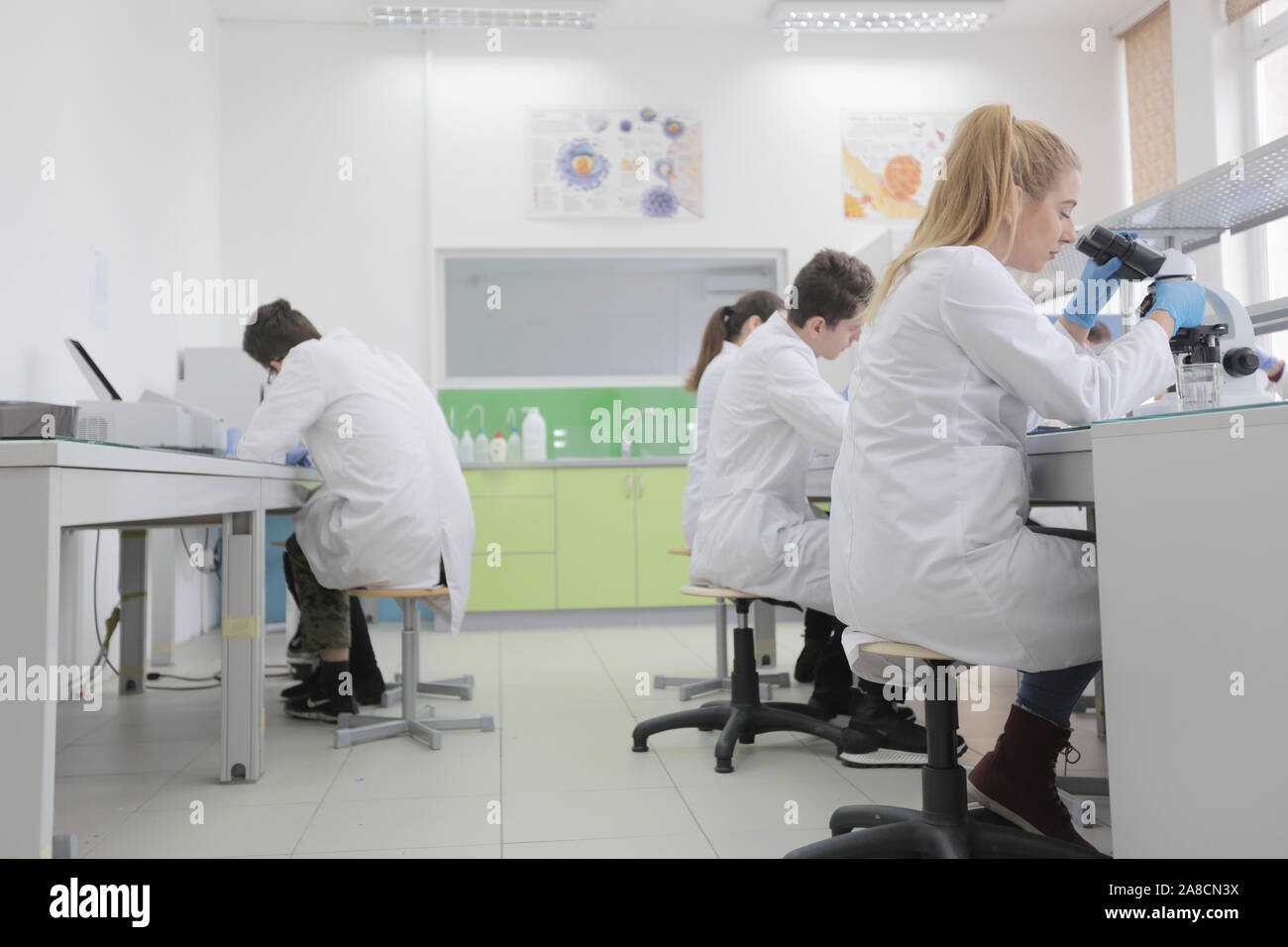 Group of young Laboratory scientists working at lab with test tubes and ...