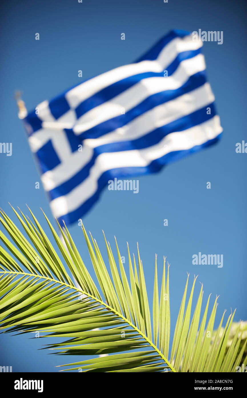 Greek flag waving in blue Mediterranean sky behind a curving palm frond ...