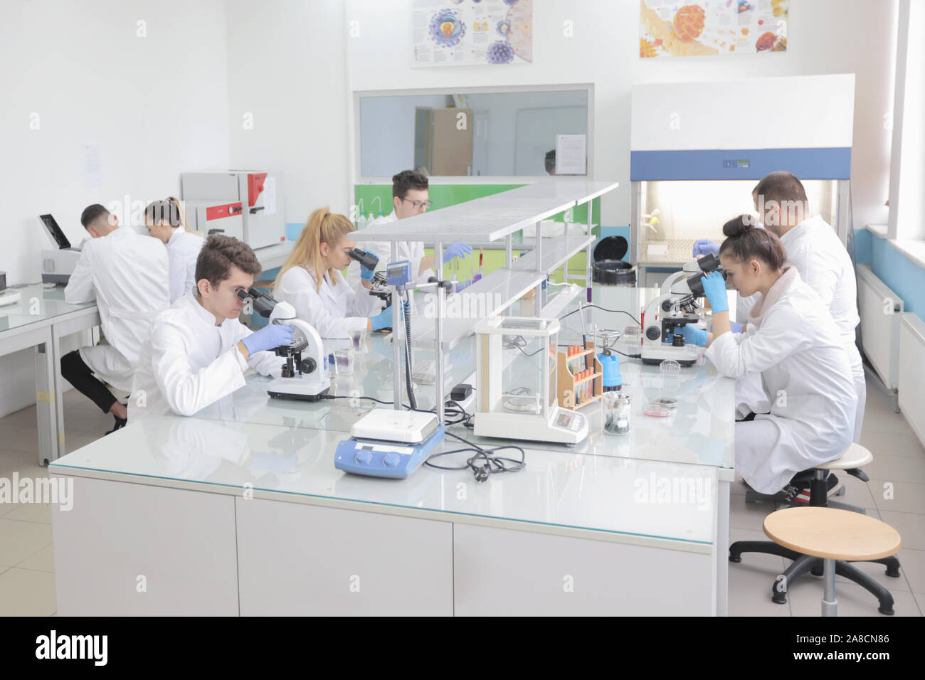 Group of young Laboratory scientists working at lab with test tubes and ...