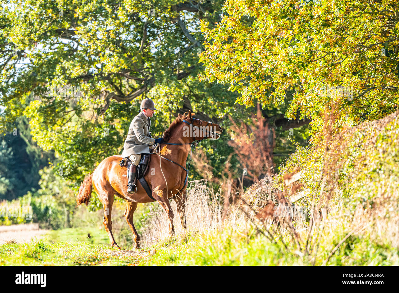 The Kelso Hunt In Scottish Borders High Resolution Stock Photography ...