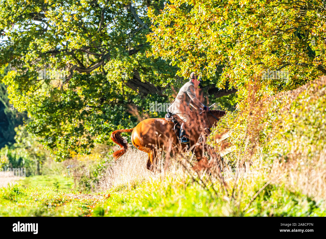 The Kelso Hunt In Scottish Borders High Resolution Stock Photography ...