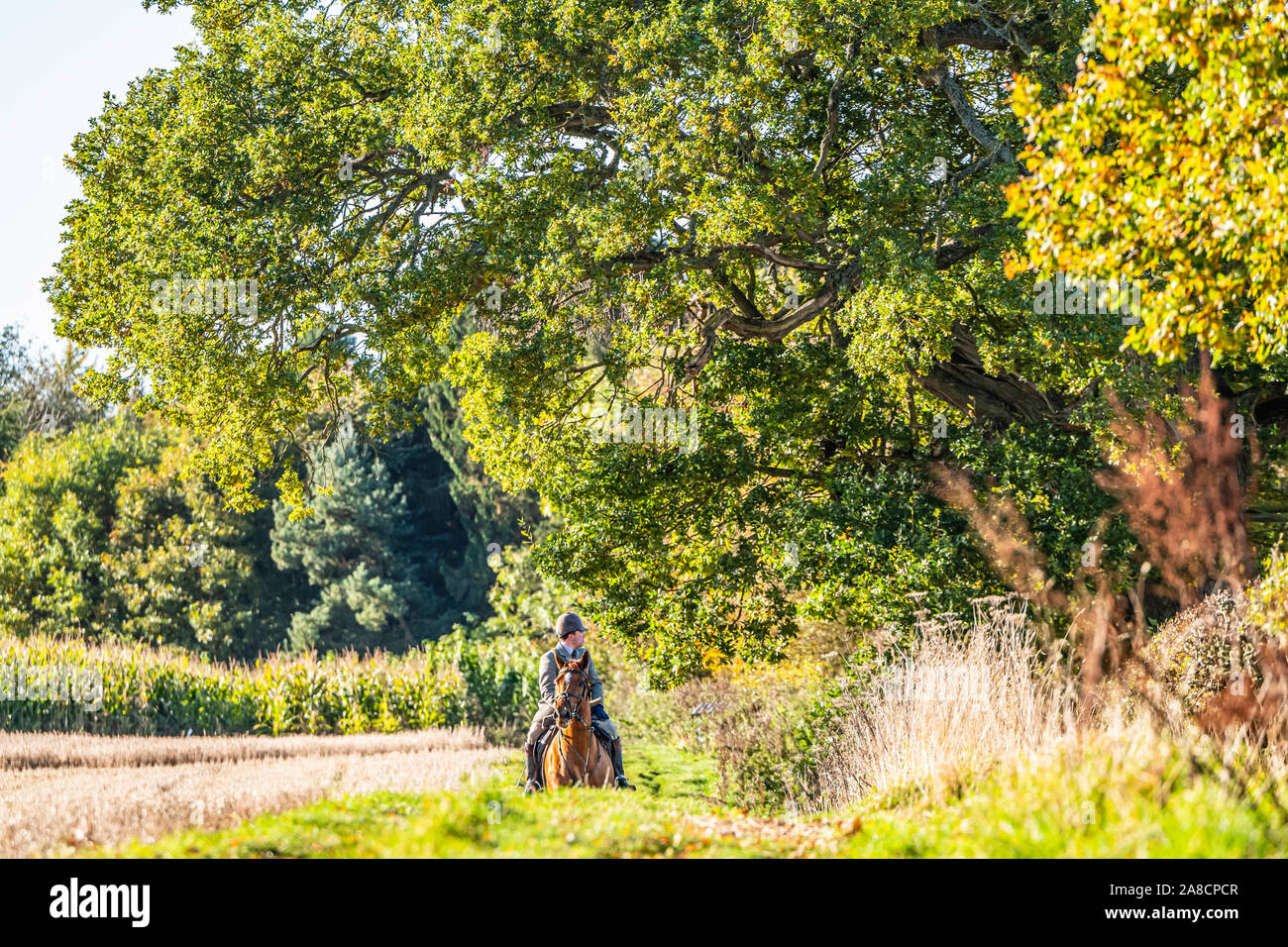 The Kelso Hunt In Scottish Borders High Resolution Stock Photography ...