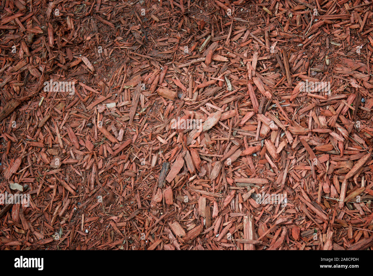 Red wood chips in a close-up full frame background Stock Photo - Alamy