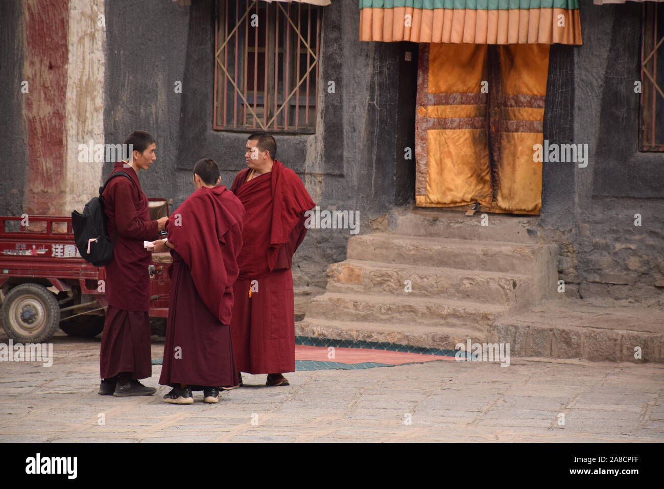 Buddhist monks inside Sakya monastery, Tingri county, Tibet - China ...