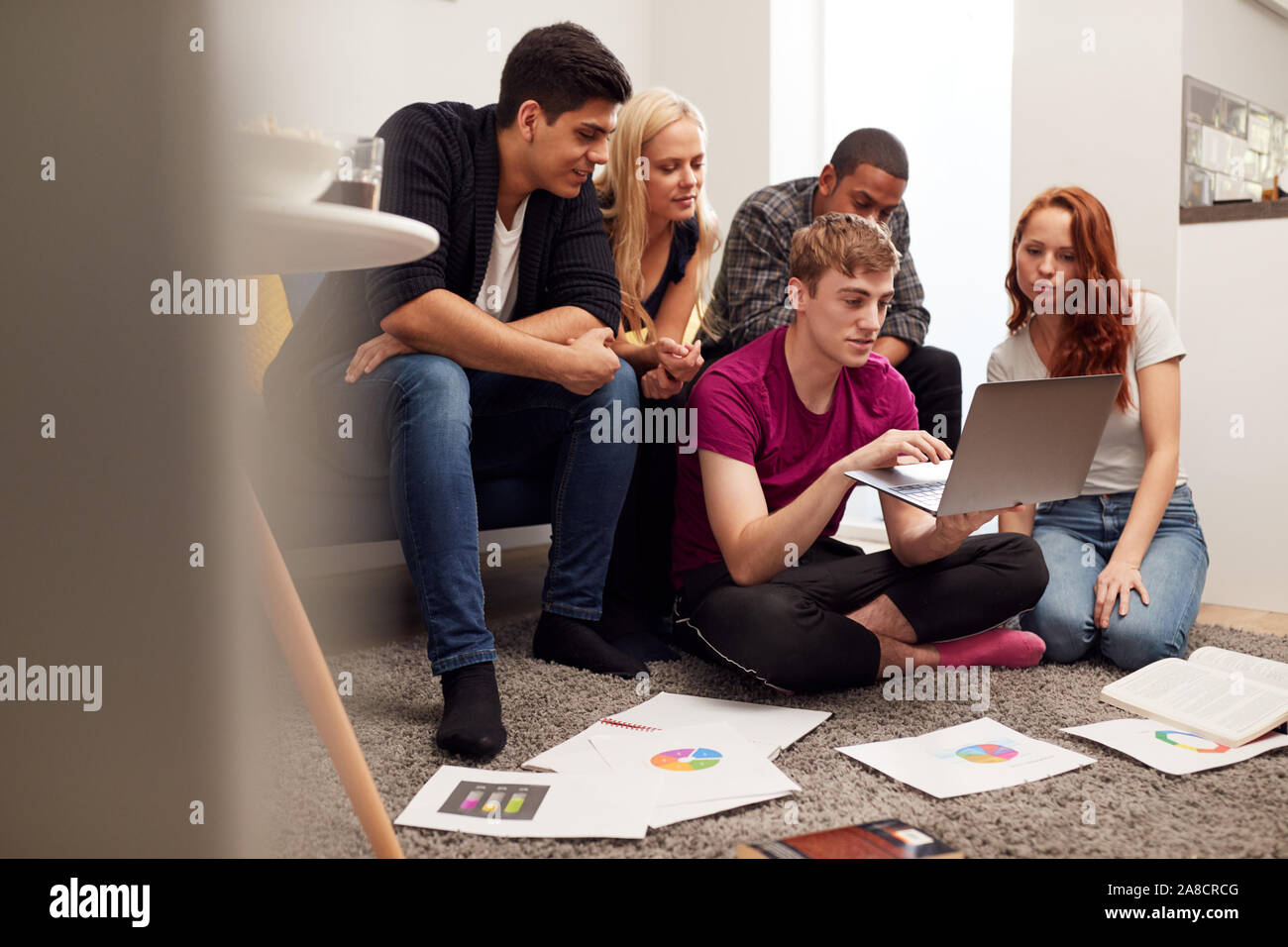 Group Of College Students In Lounge Of Shared House Studying Together ...
