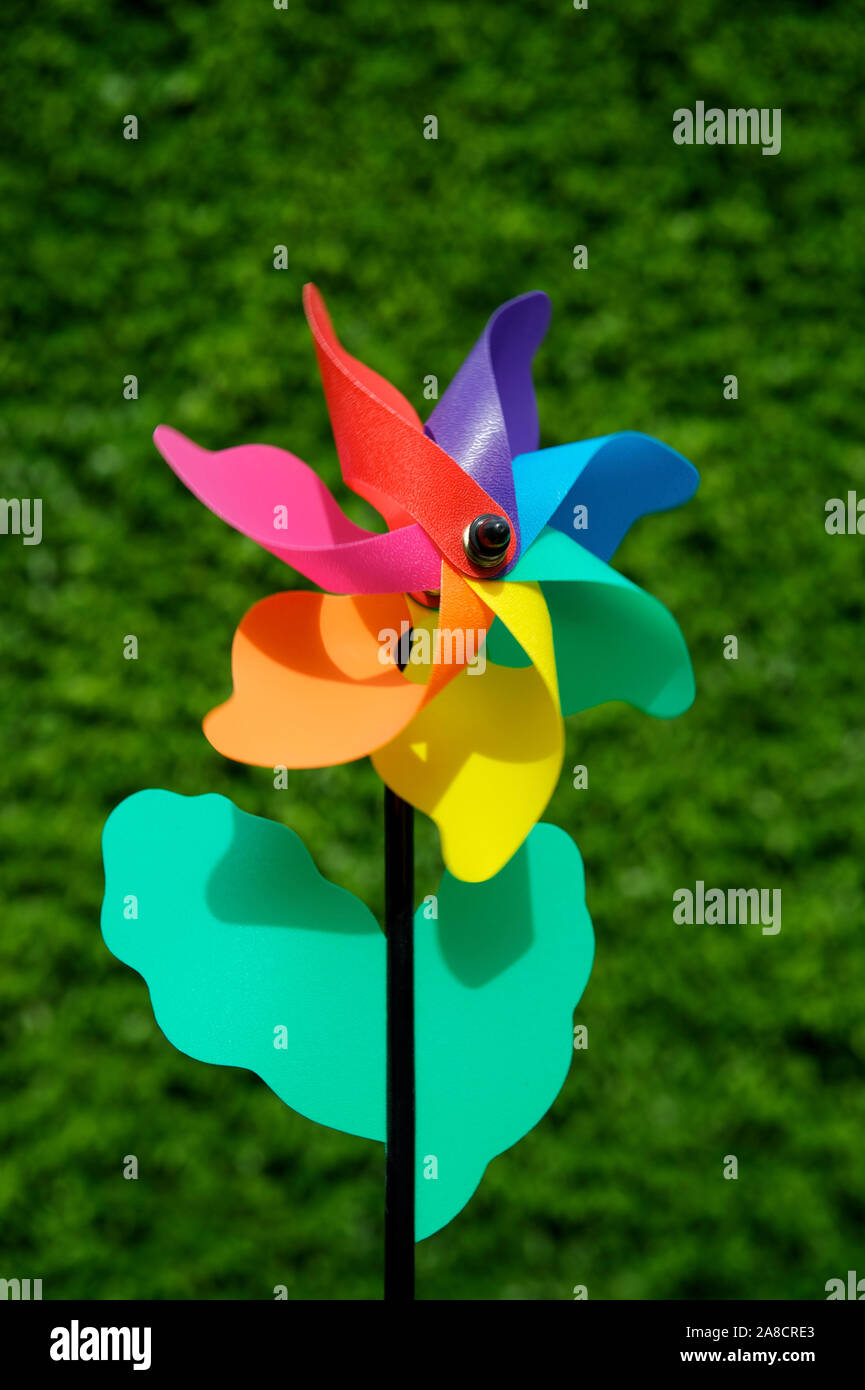 Colorful pinwheel flower spinning in the wind in front of leafy green ...