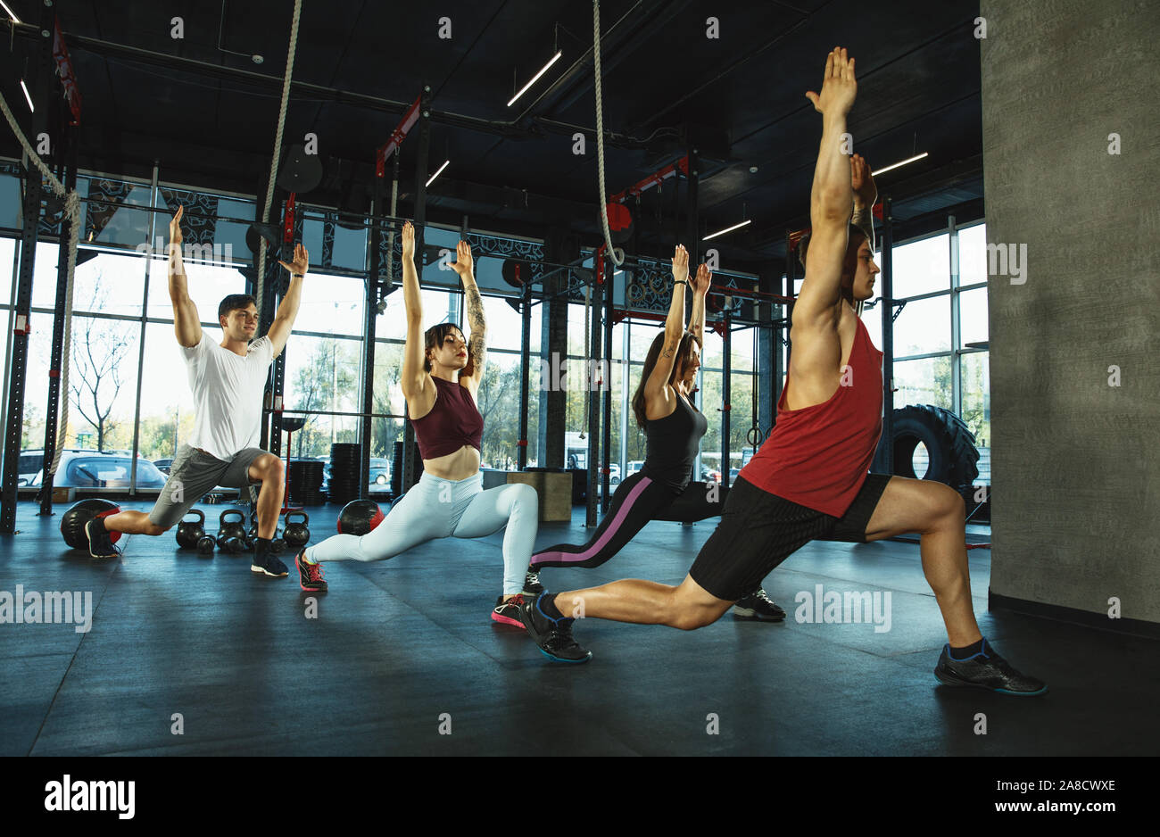 A group of muscular athletes doing workout at the gym. Gymnastics ...