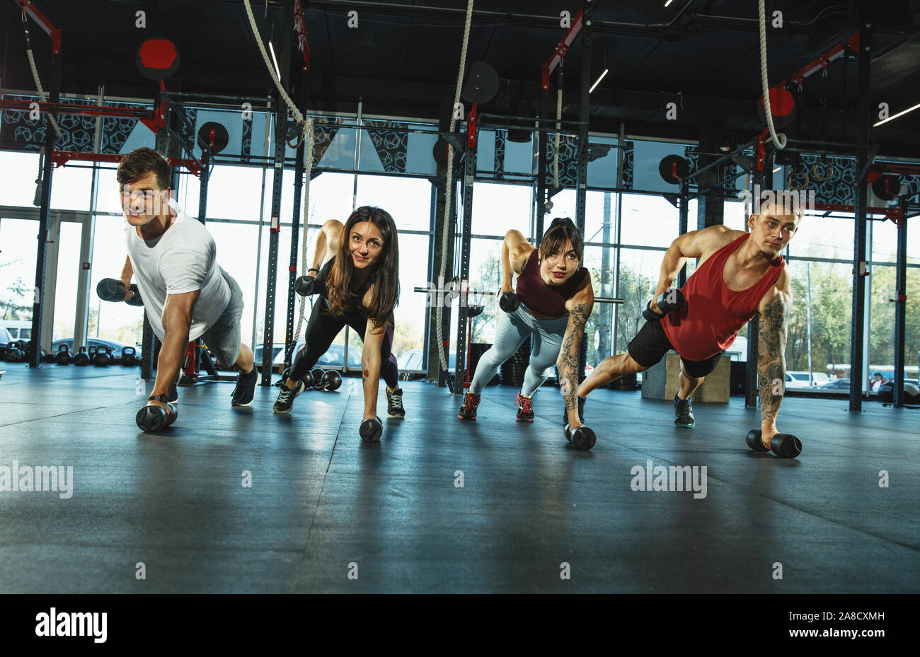 A group of muscular athletes doing workout at the gym. Gymnastics ...