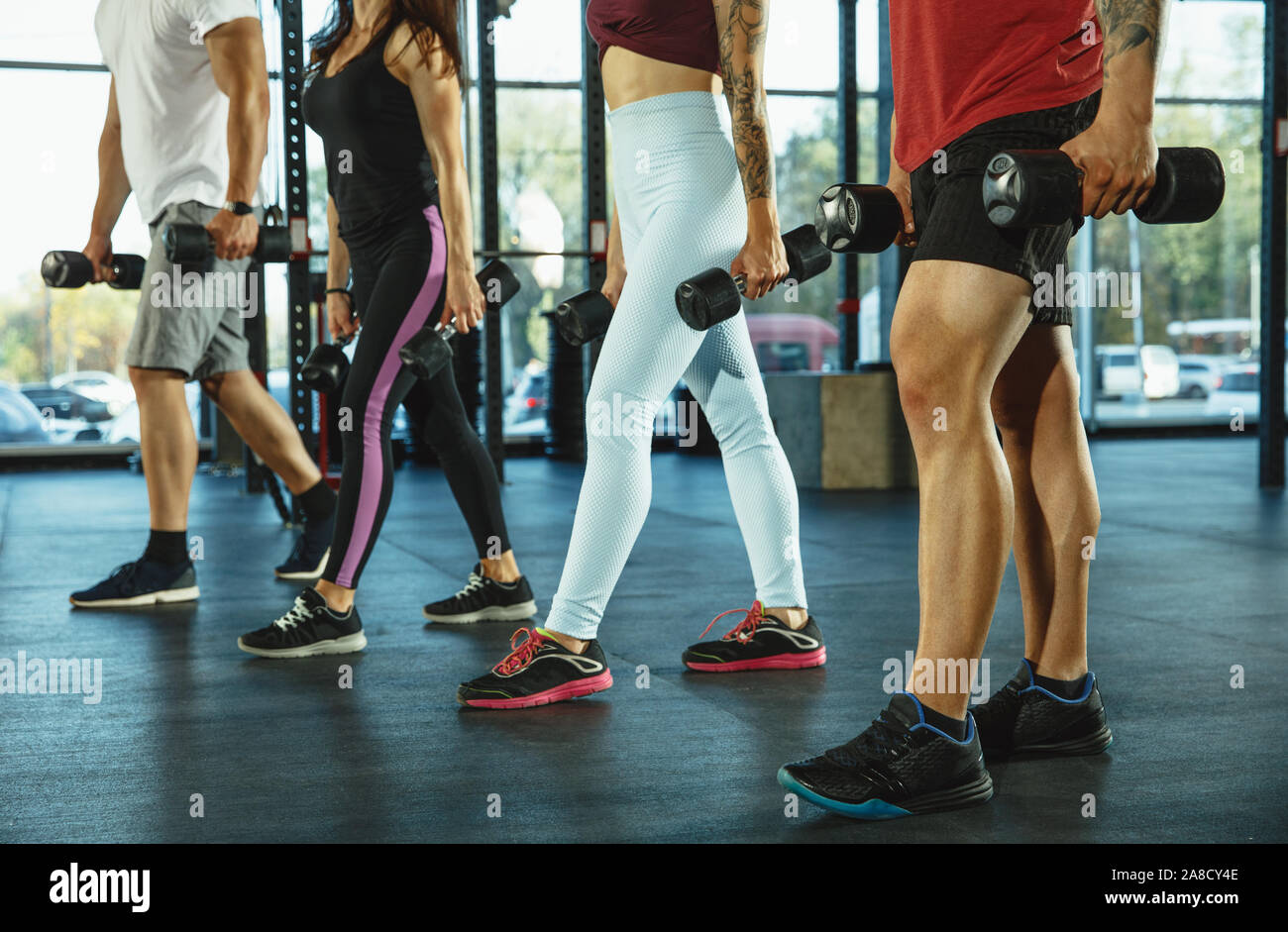 A group of muscular athletes doing workout at the gym. Gymnastics ...