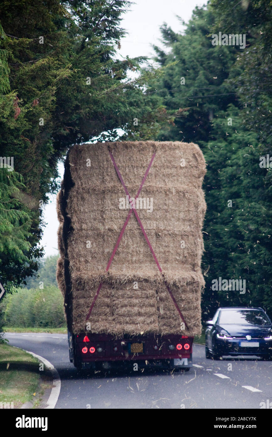 Lorry load missing tree Stock Photo - Alamy