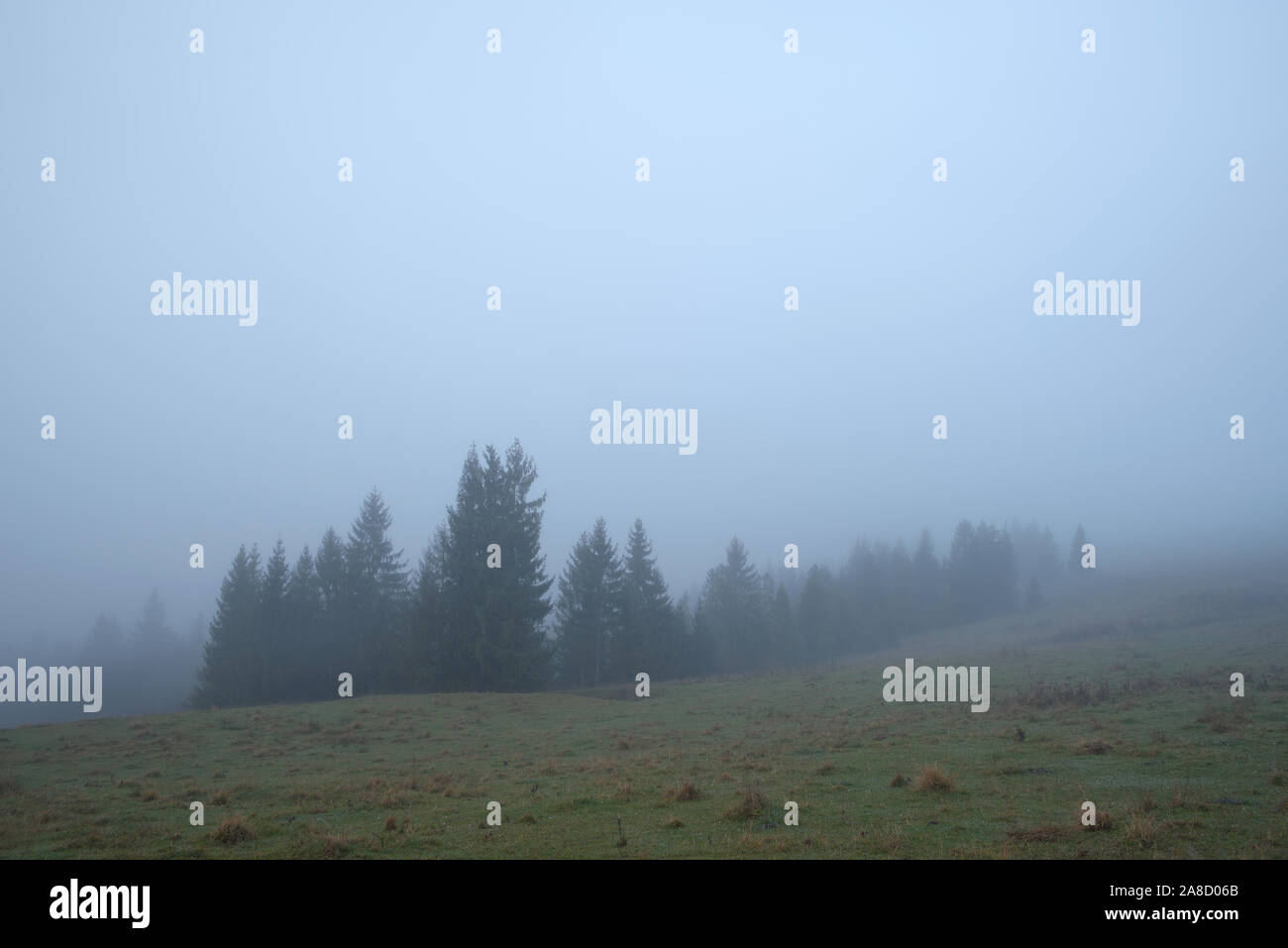 Season of mist hi-res stock photography and images - Alamy