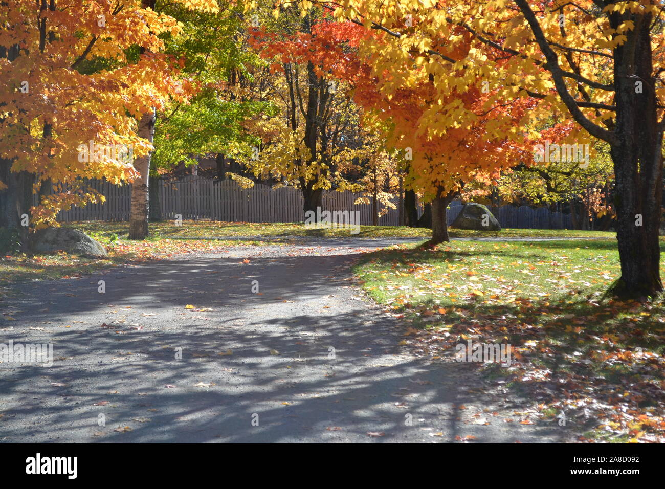autumn scenes in Ontario forests Stock Photo - Alamy
