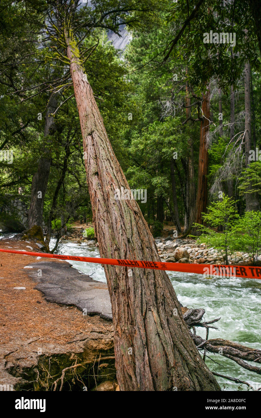 Crime scene usa hi-res stock photography and images - Alamy