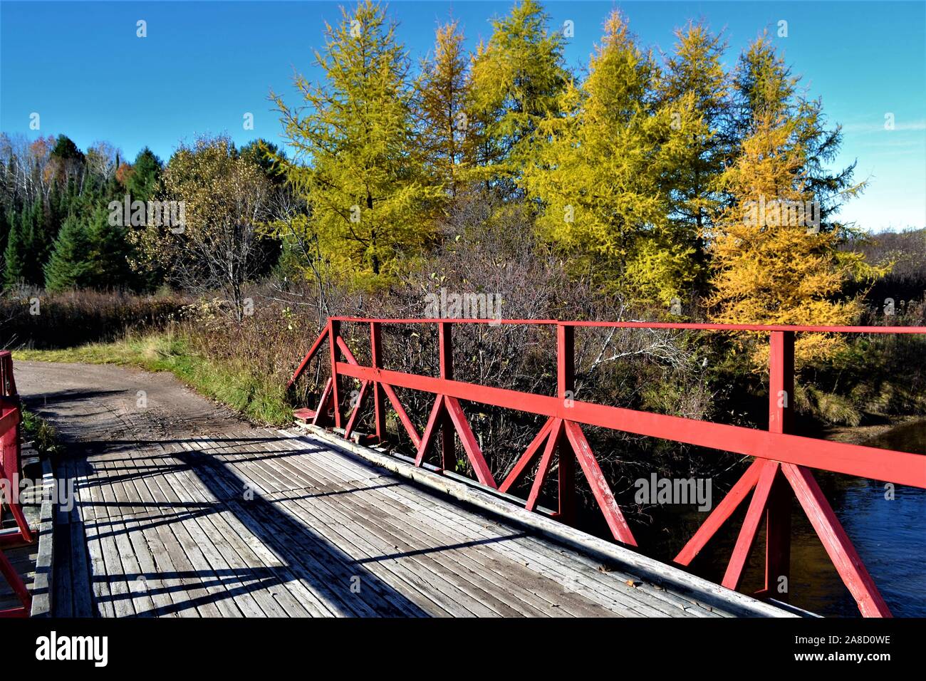 autumn scenes in Ontario forests Stock Photo - Alamy