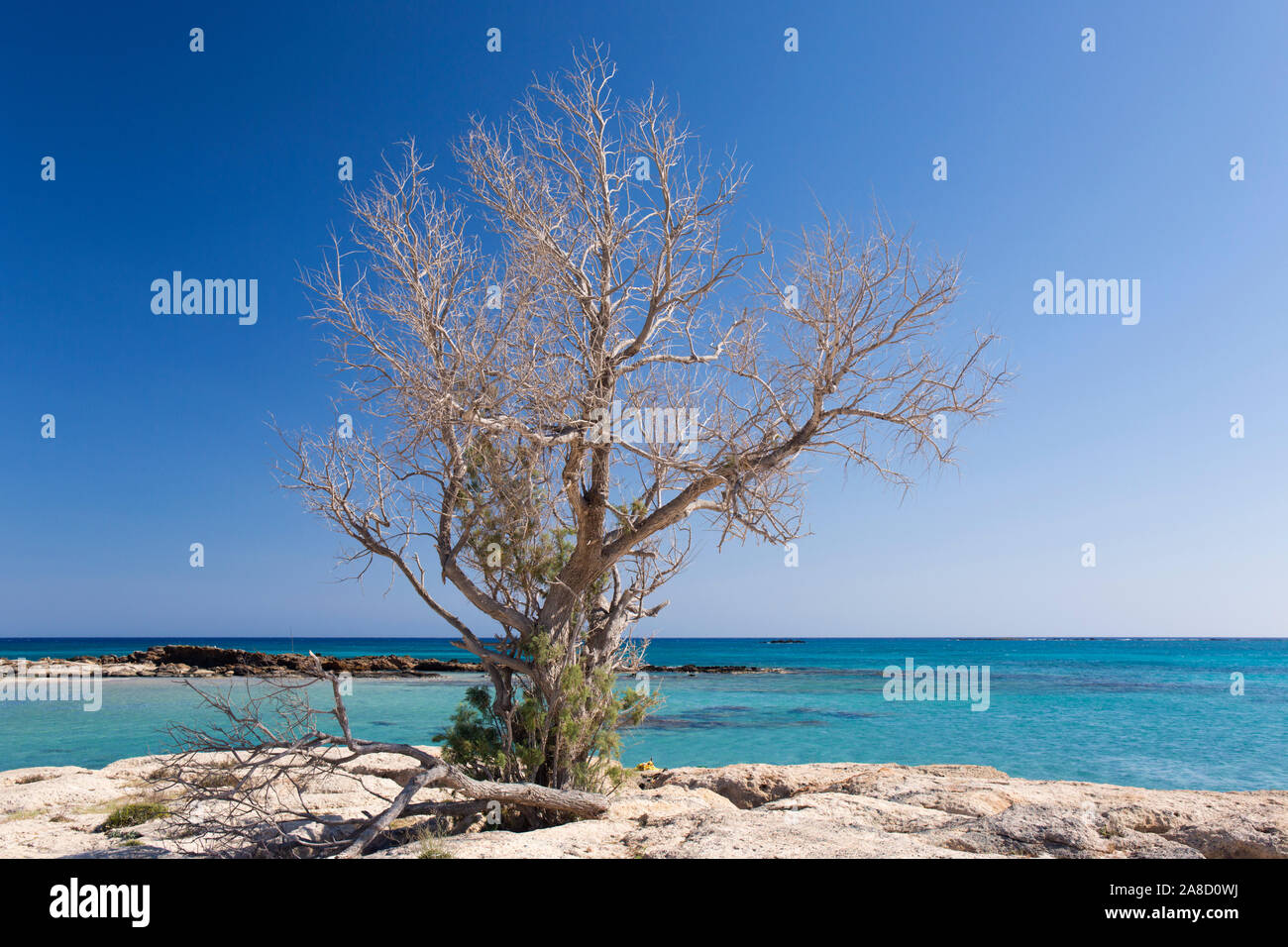 Islands ocean tree rock rocky hi-res stock photography and images - Alamy