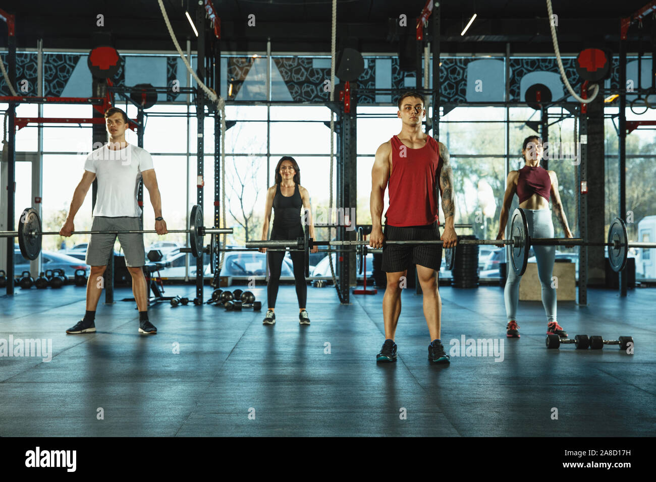 A group of muscular athletes doing workout at the gym. Gymnastics ...