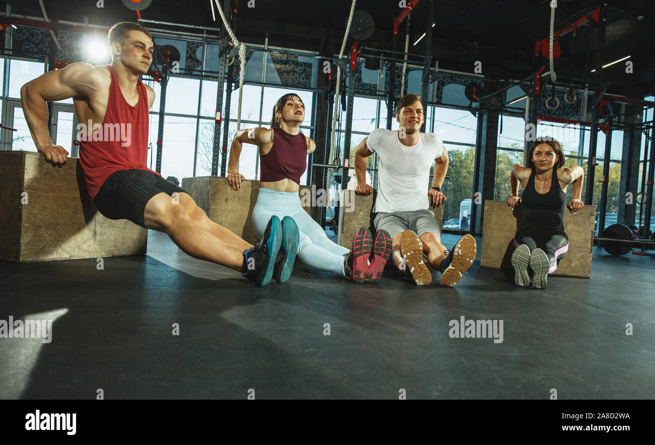 A group of muscular athletes doing workout at the gym. Gymnastics ...