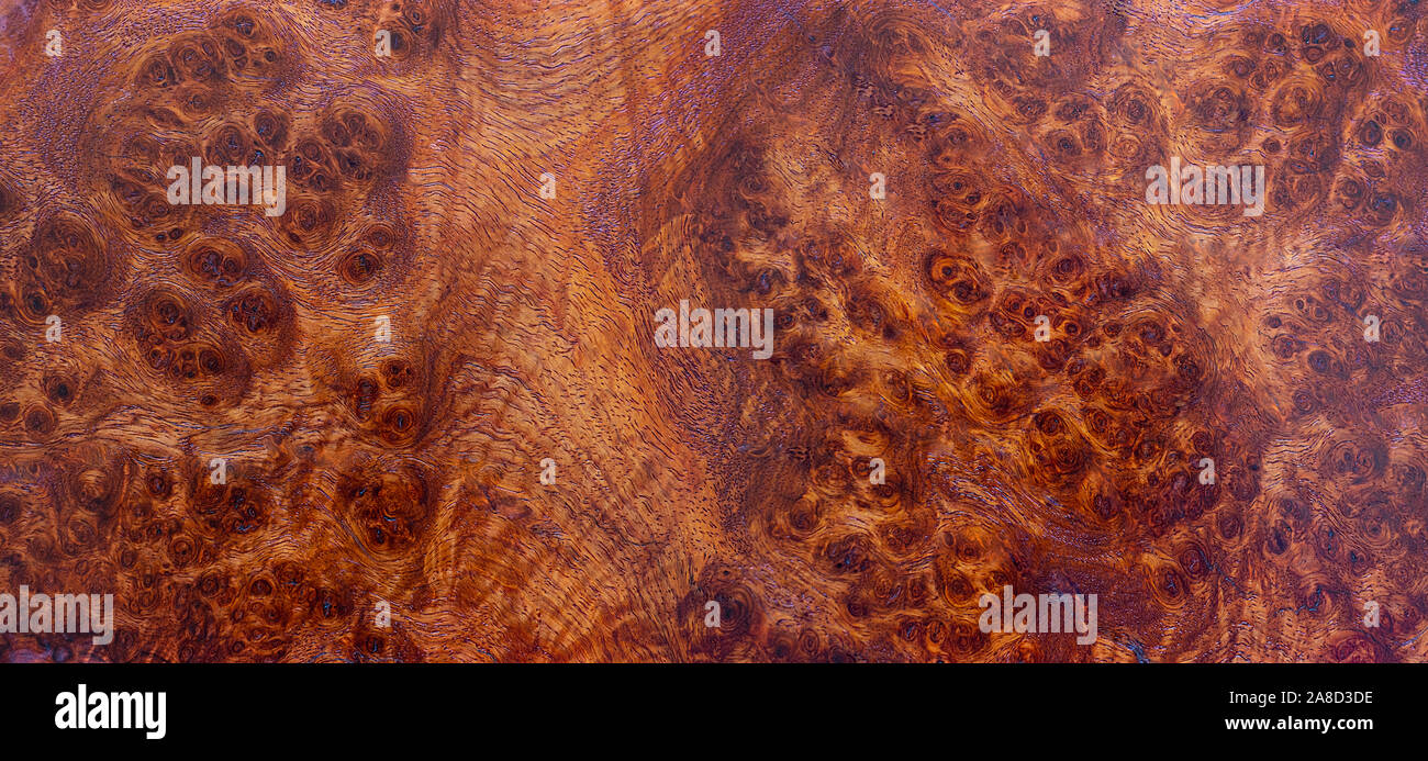 Amboyna burl wood striped Exotic wooden beautiful pattern for crafts ...