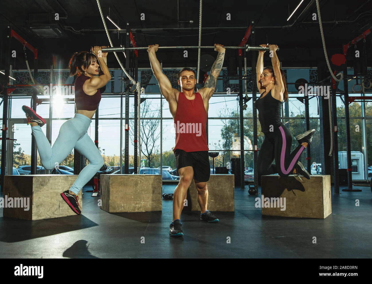 A group of muscular athletes doing workout at the gym. Gymnastics ...