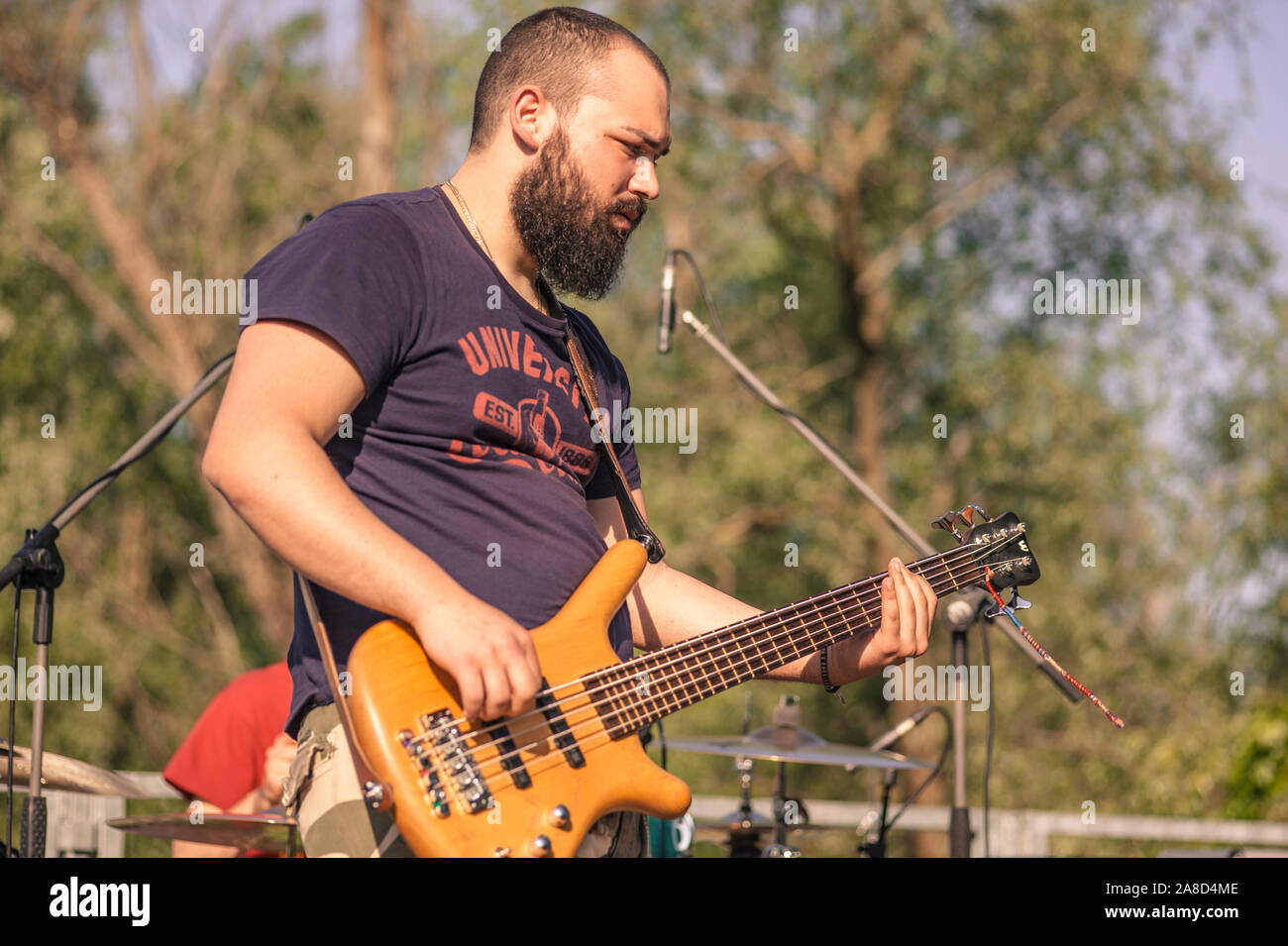 Portrait of a bearded bass player #2 Stock Photo - Alamy