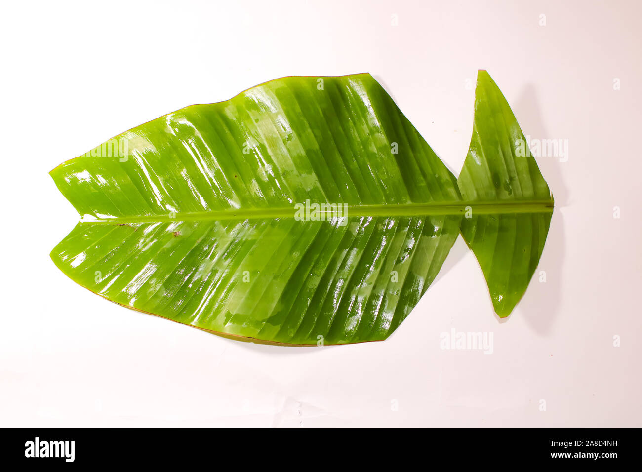 Creative Banana leaf in a fish shape cut Stock Photo - Alamy
