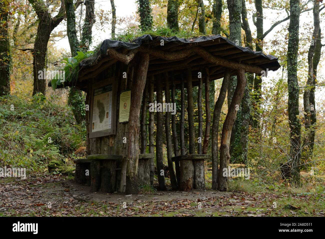 Pengelli forest national nature reserve hi-res stock photography and ...