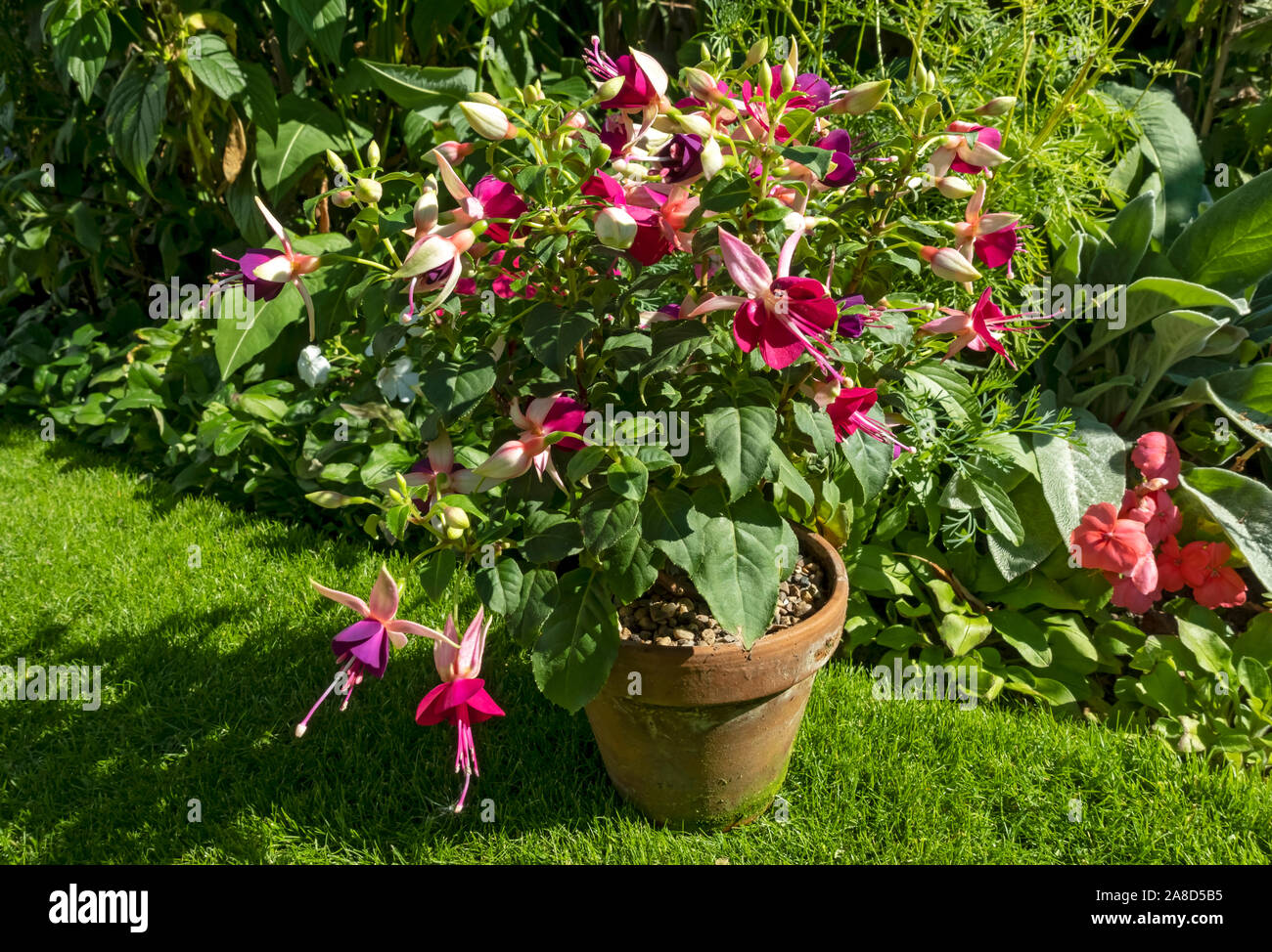 Rivendell hi-res stock photography and images - Alamy