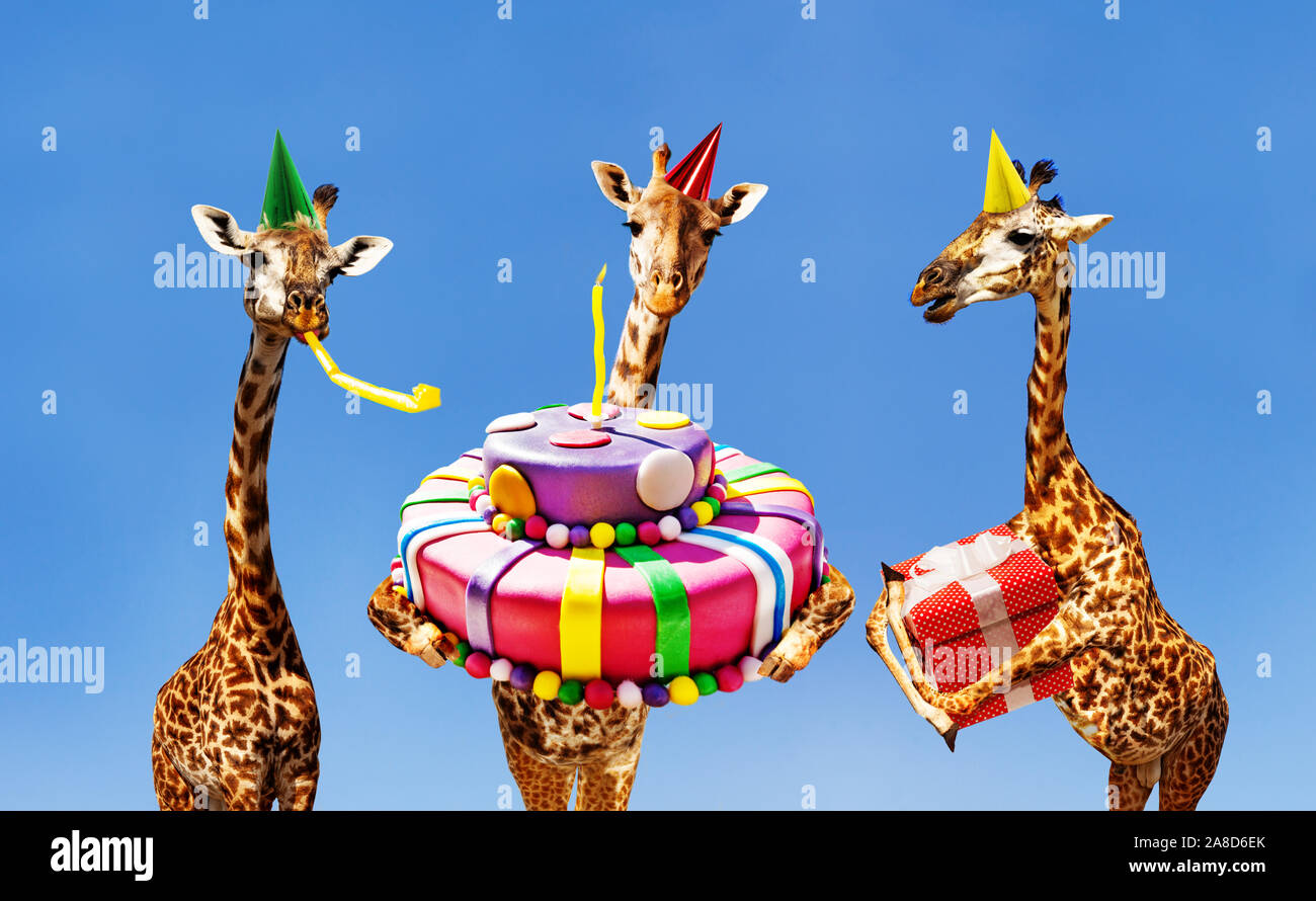 African giraffes cartoon hi-res stock photography and images - Alamy