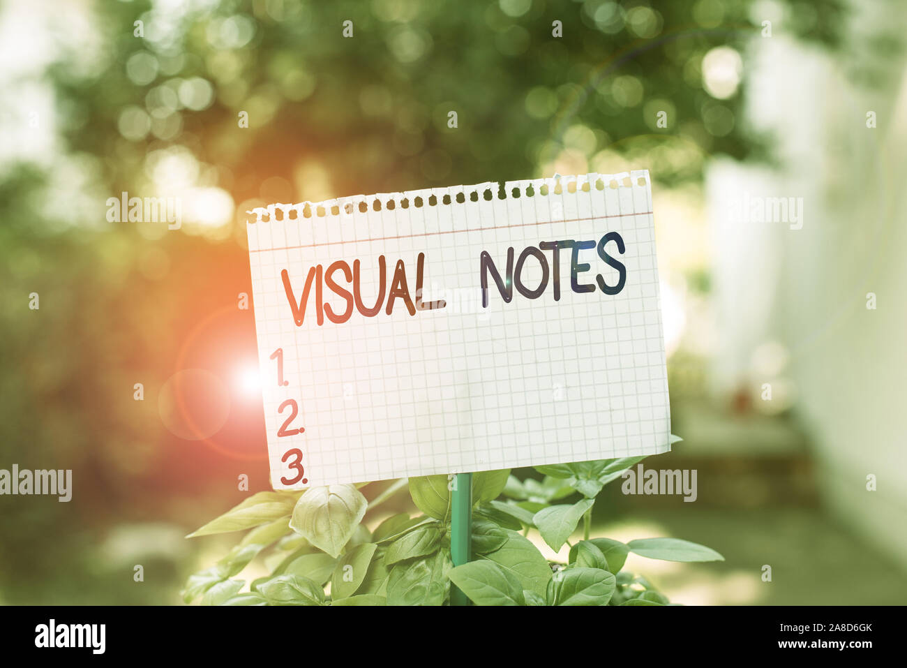 Text sign showing Visual Notes. Business photo showcasing process of ...