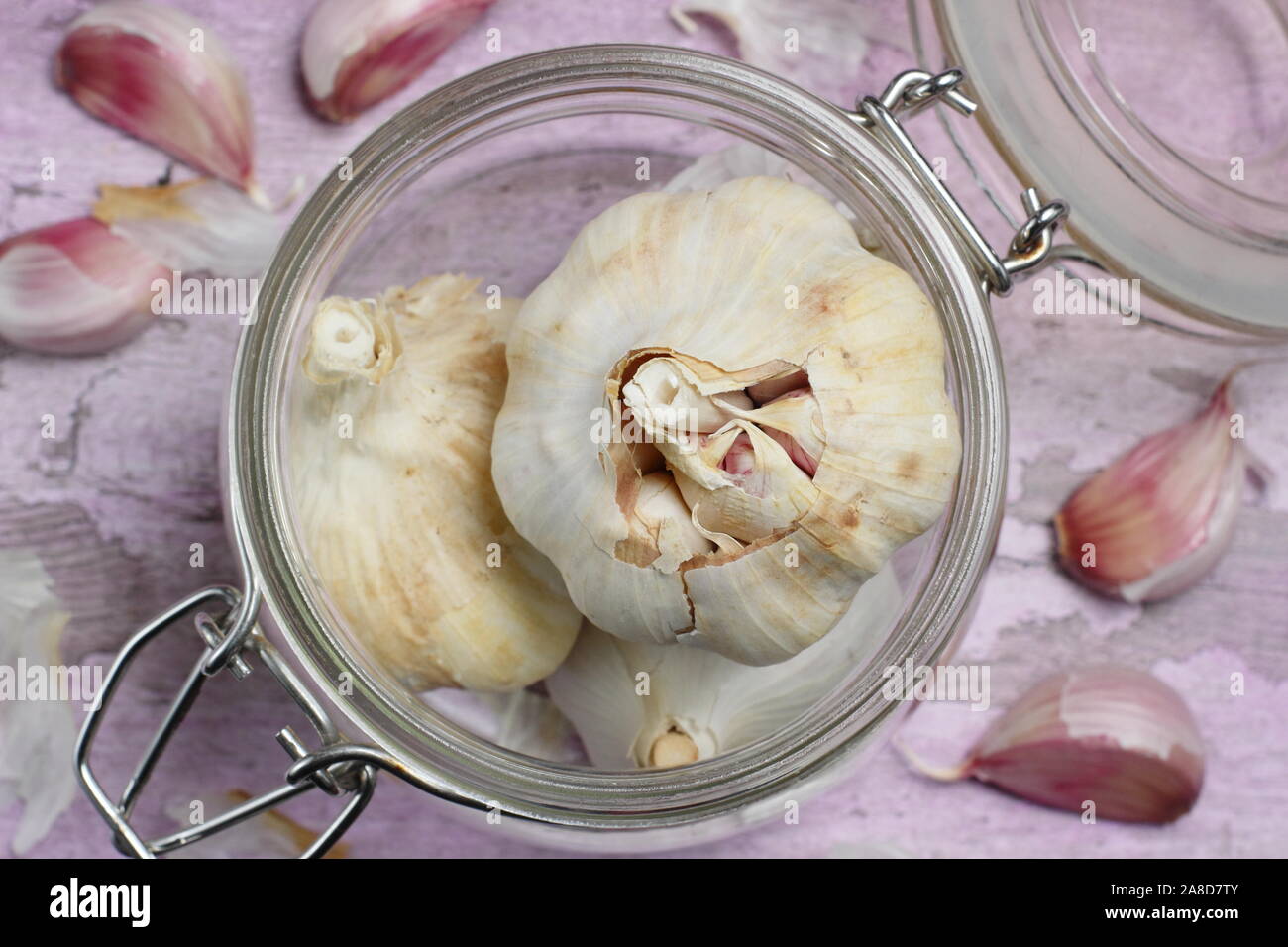 Allium sativum. Bulbs and cloves of 'Lautrec Wight' garlic. UK Stock ...