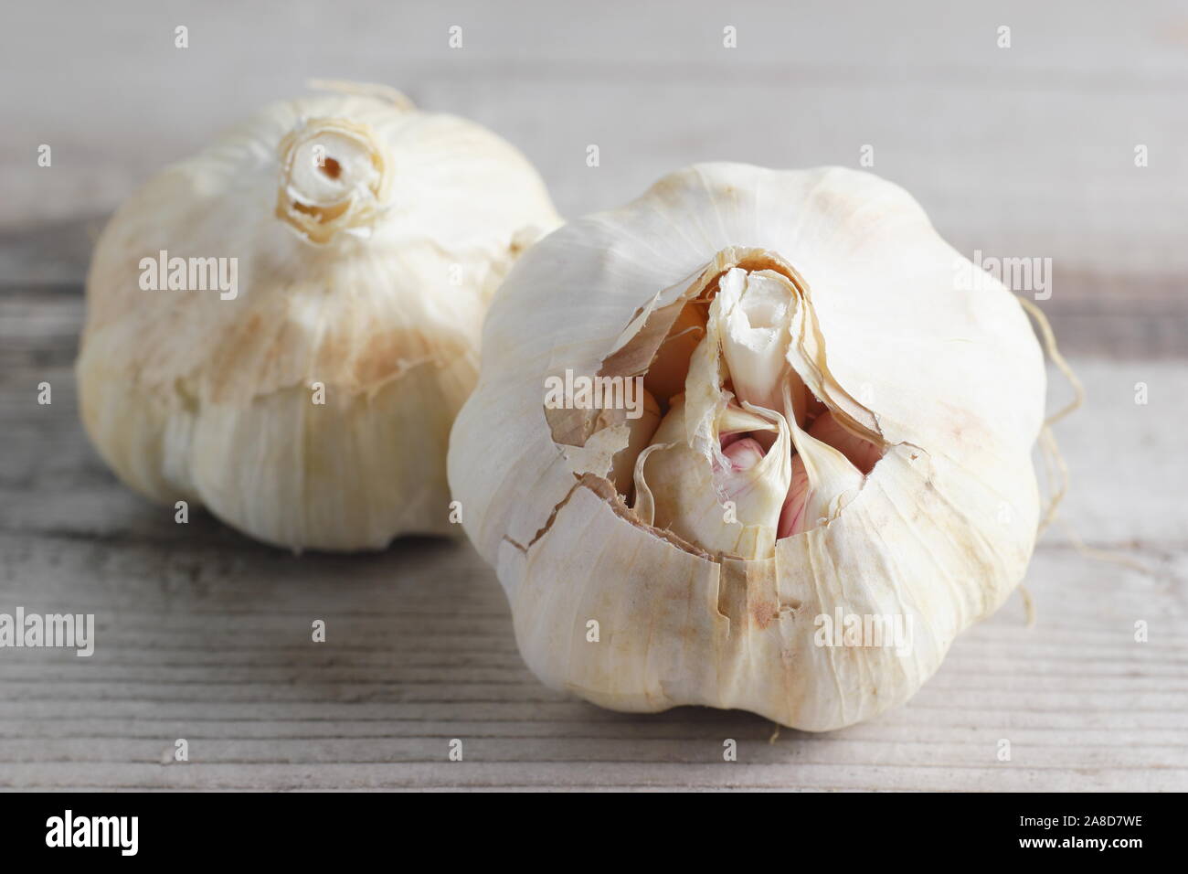 Close up garlic bulbs hi-res stock photography and images - Alamy