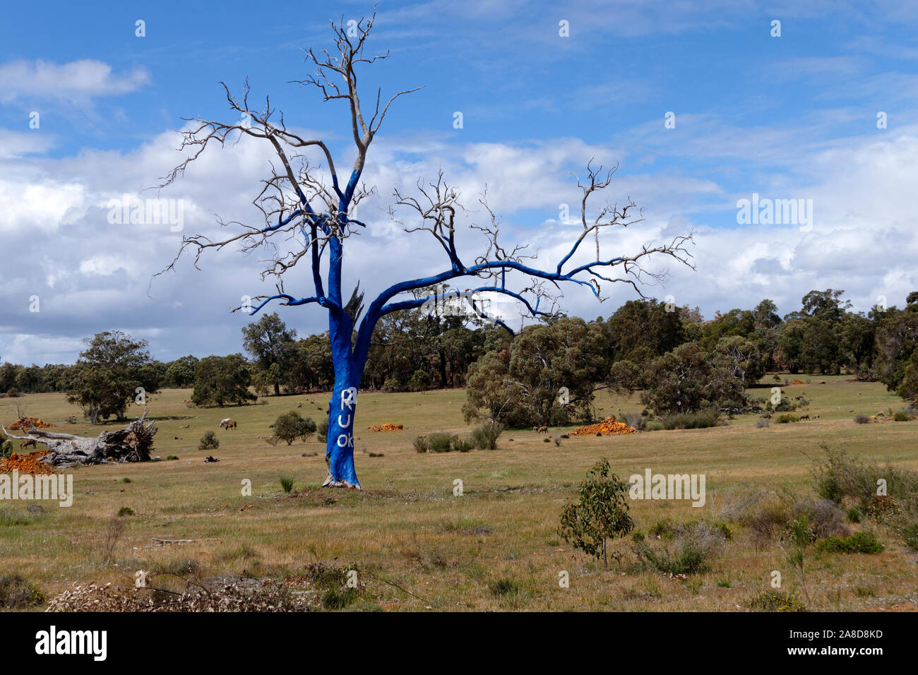 Are You Okay tree "R U OK" Tree painted blue symbolizing mental illness ...
