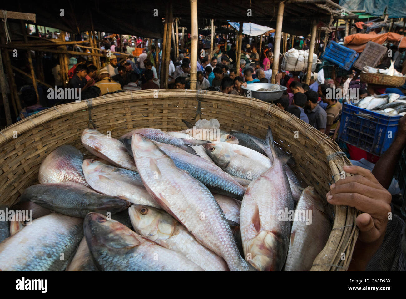 DHAKA, BANGLADESH - NOVEMBER 08 : People trade fish at a market near ...