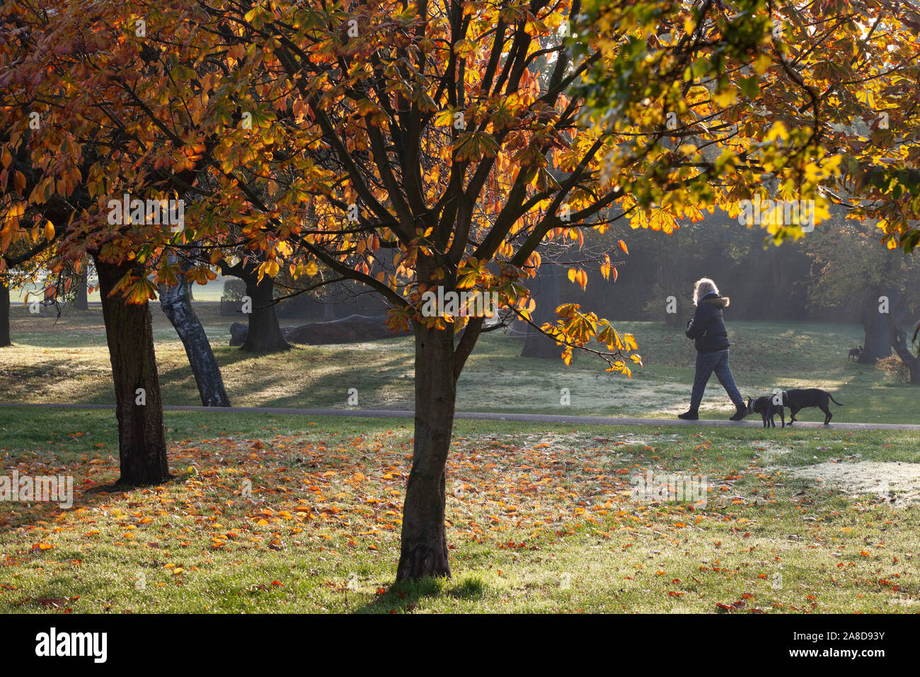 Tooting common hi-res stock photography and images - Alamy