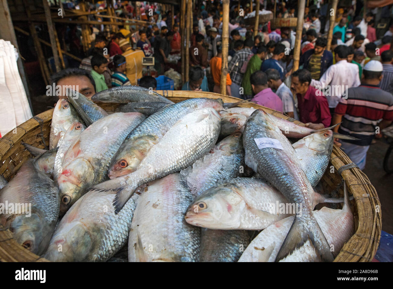 DHAKA, BANGLADESH - NOVEMBER 08 : People trade fish at a market near ...