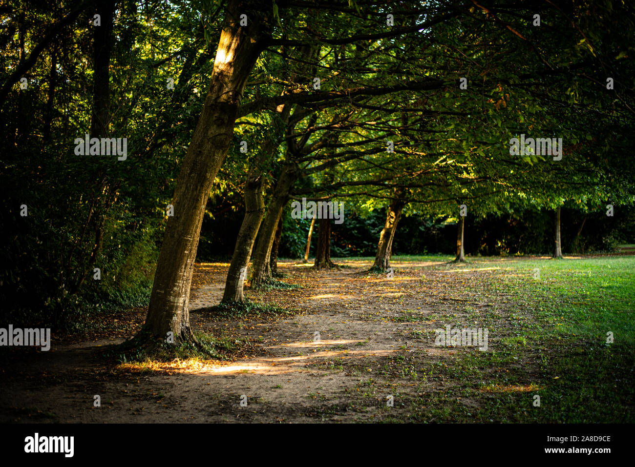 Public park of Villa Belvedere in Mirano Italy Stock Photo - Alamy