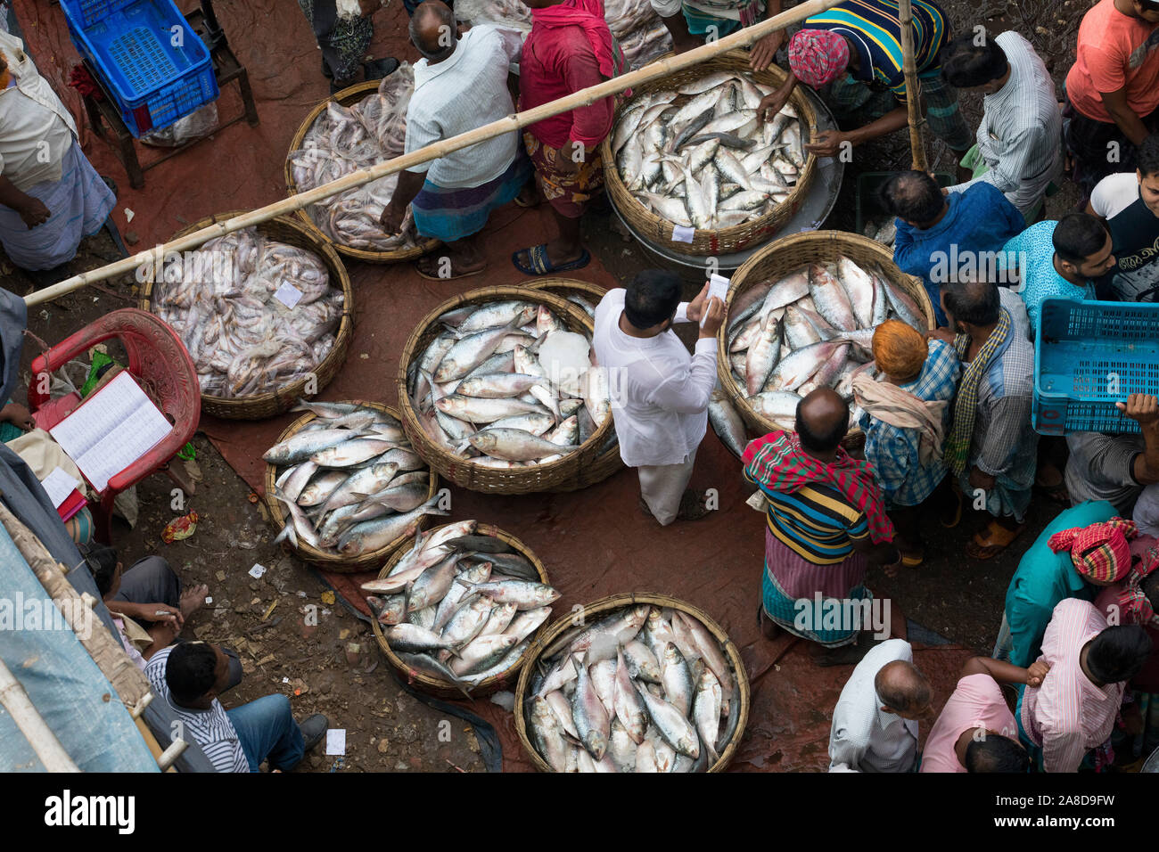 DHAKA, BANGLADESH - NOVEMBER 08 : People trade fish at a market near ...