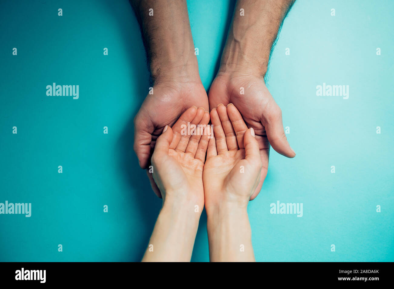 Closeup of beautiful female hand open on a strong large male hand on ...