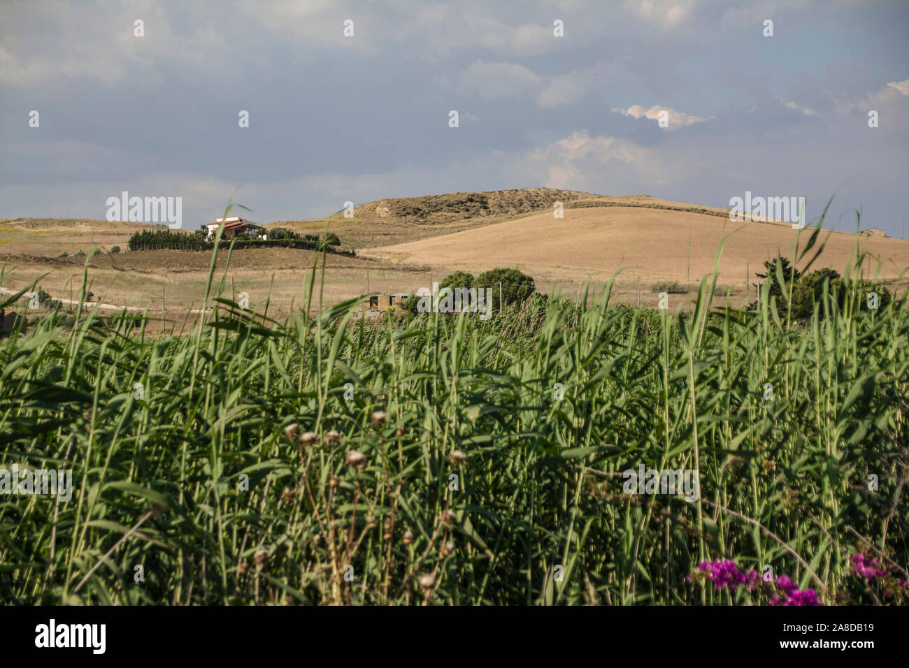 Sicilian rural panorama #2 Stock Photo - Alamy