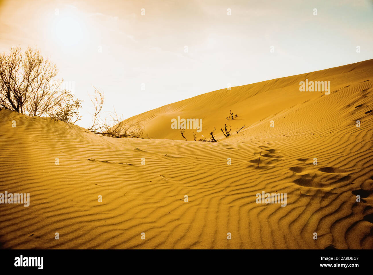 Sandy Arid Desert Background Landscape, Patara, Turkey Stock Photo - Alamy
