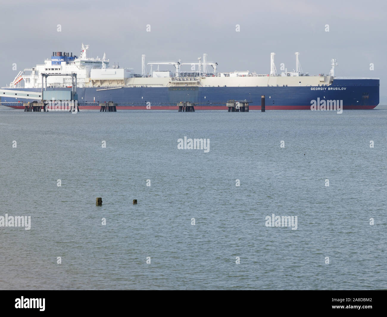 Sheerness, Kent, UK. 8th November, 2019. Russian LNG tanker 'Georgiy ...