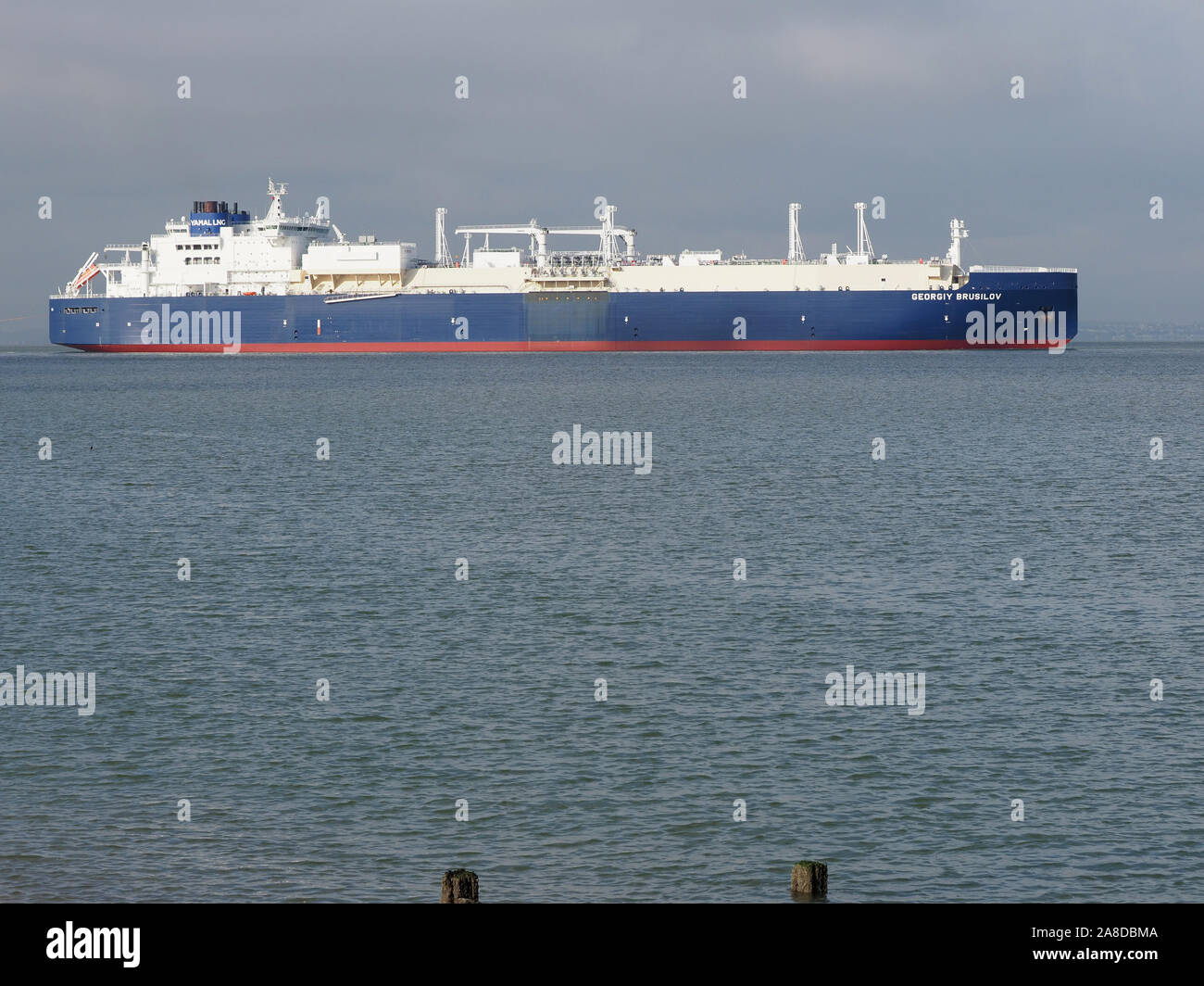 Sheerness, Kent, UK. 8th November, 2019. Russian LNG tanker 'Georgiy ...