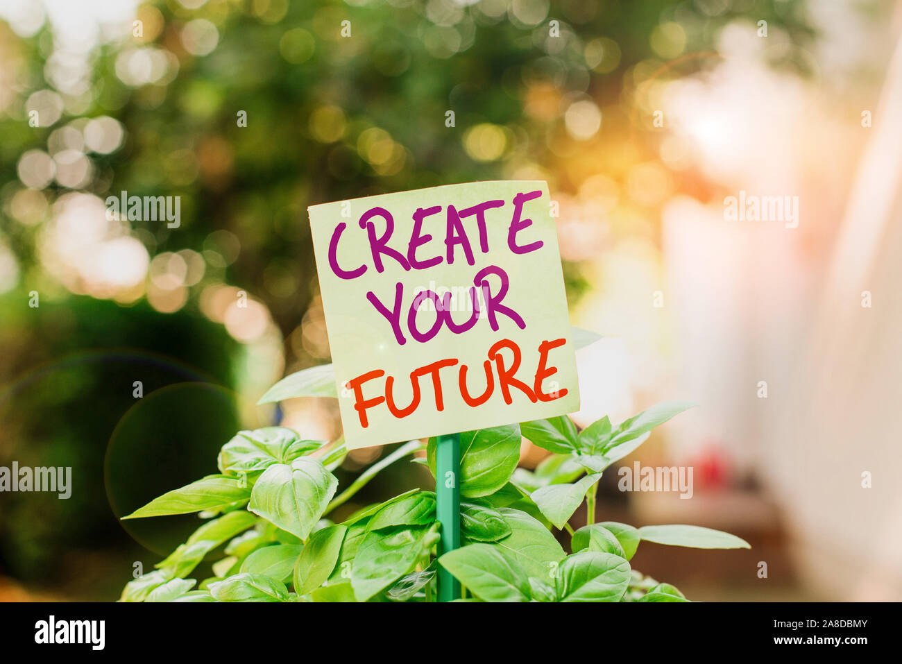 Handwriting text writing Create Your Future. Conceptual photo Set ...