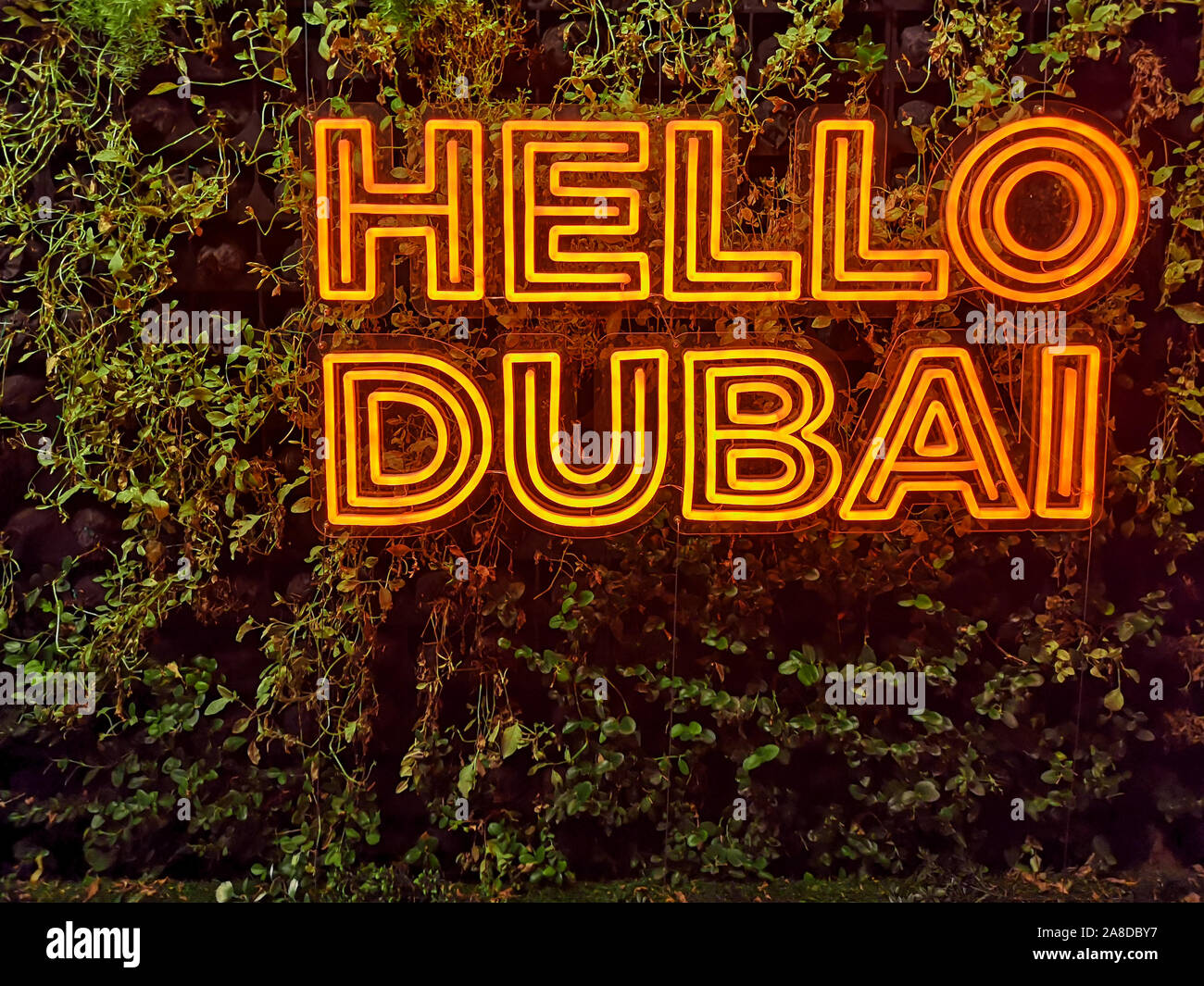 HELLO DUBAI Neon cool text welcoming people to Dubai city Stock Photo ...