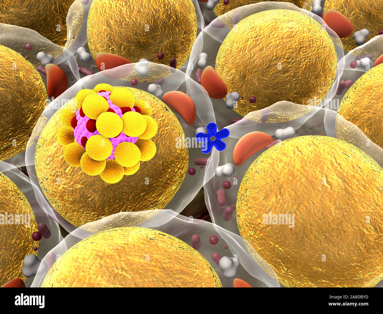 field of fat cells, High quality 3d render of fat cells, cholesterol in ...